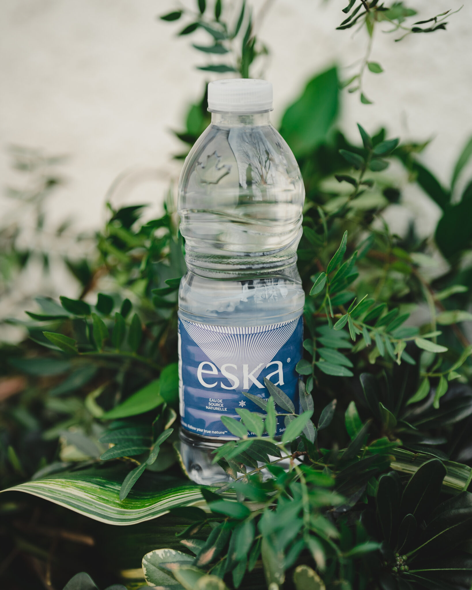 A Rock-Solid Commitment to Sustainability | Eska Water